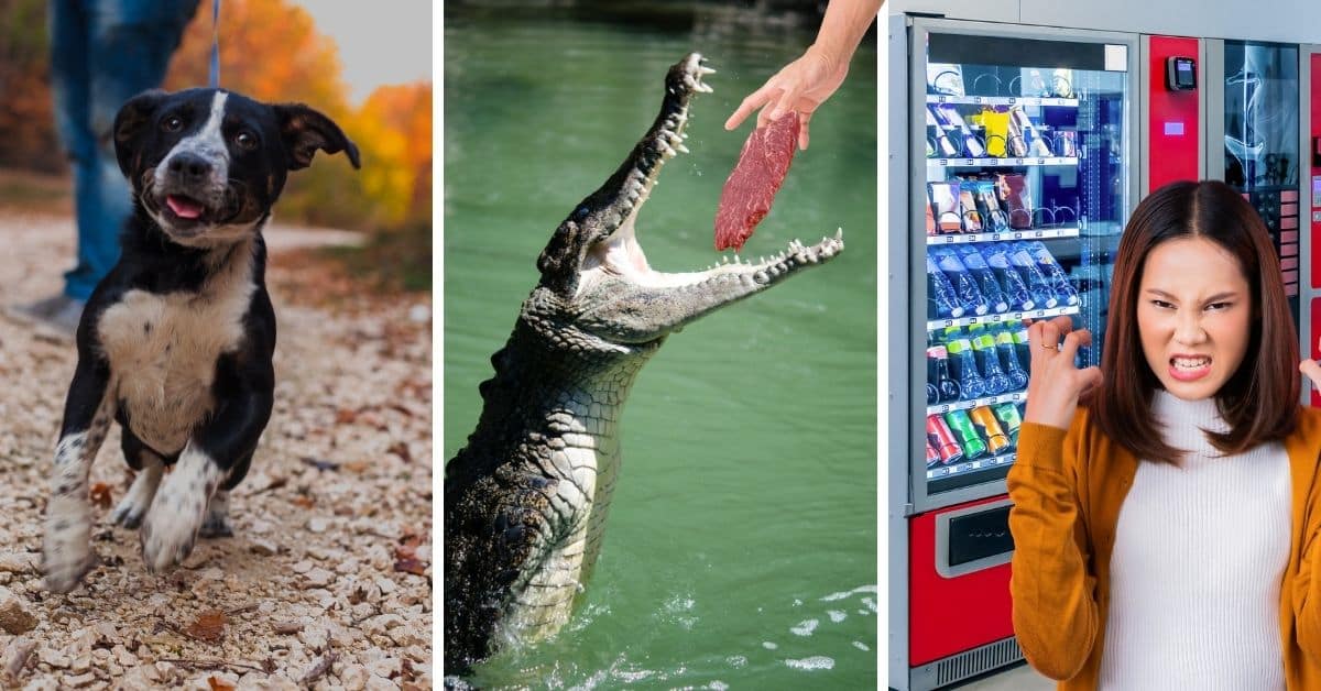 10 Work-Related Injuries You'd Never Predict | Murphy's Law